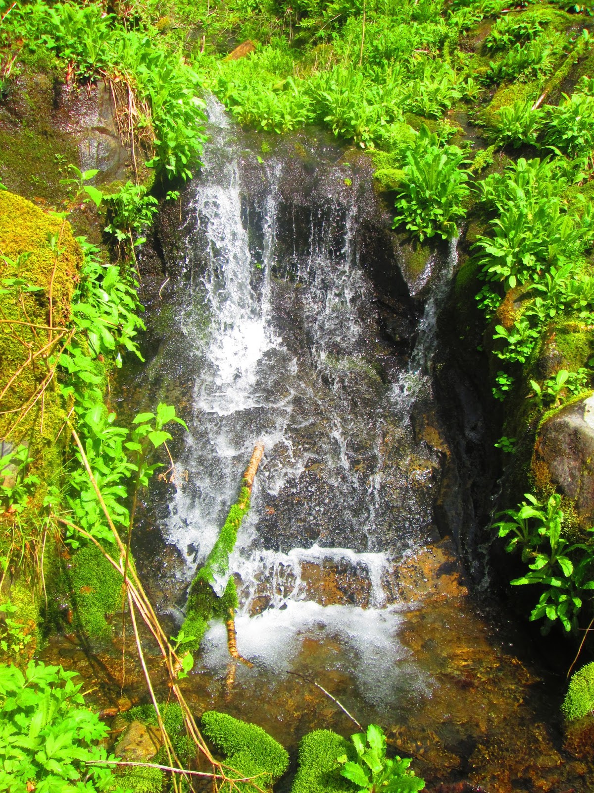 Hikertrash 900: Camel Gap Loop