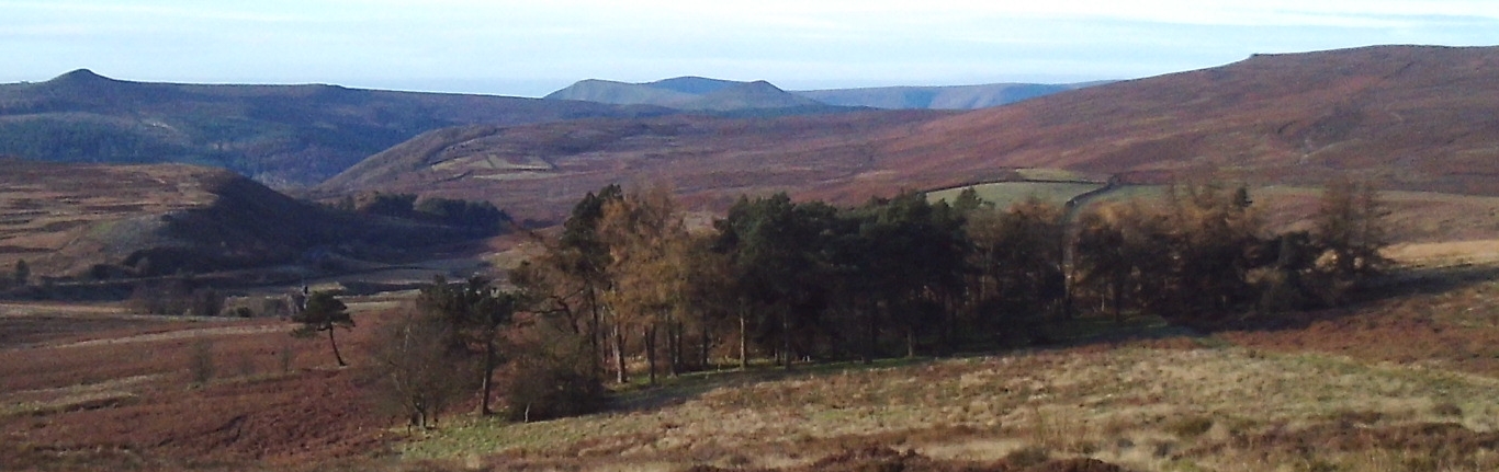 Walking The Peak: Moscar, Low Bradfield, Holdworth, and Hillsborough