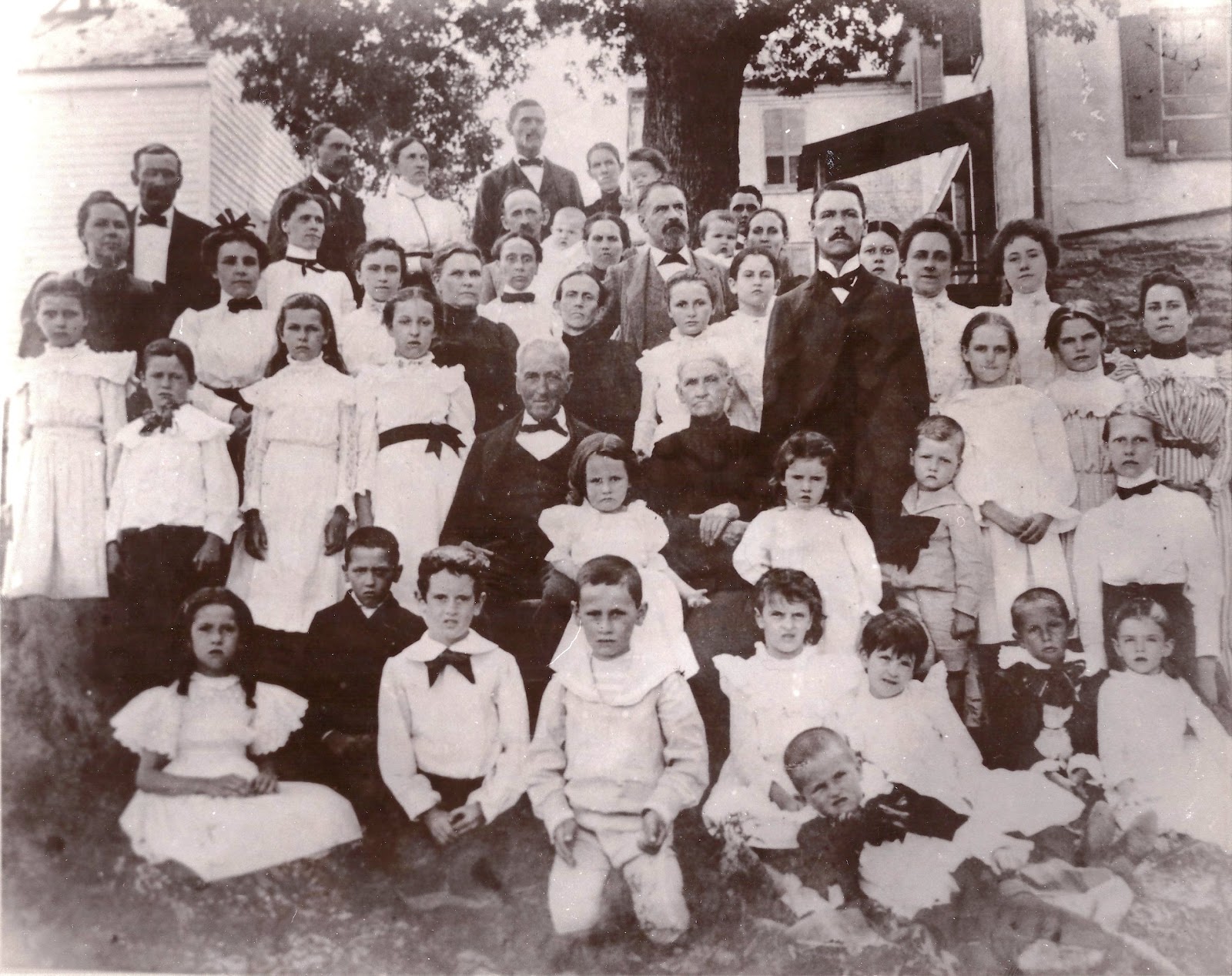 Trees, Leaves, Roots, & Shoots