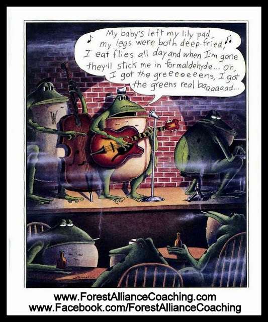 The Dragonfly Forest: Cartoon Saturday - Gray Larson's Far Side
