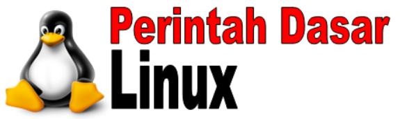 Perintah dasar Linux dan contohnya - wasito.web.id