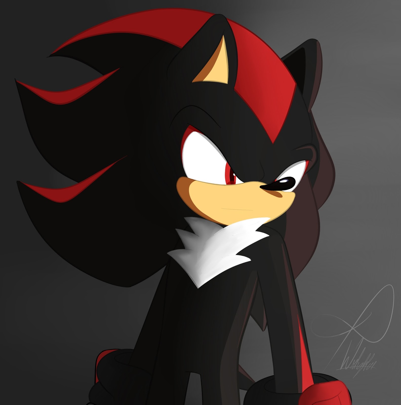 Shadow The Hedgehog:La forma de vida suprema
