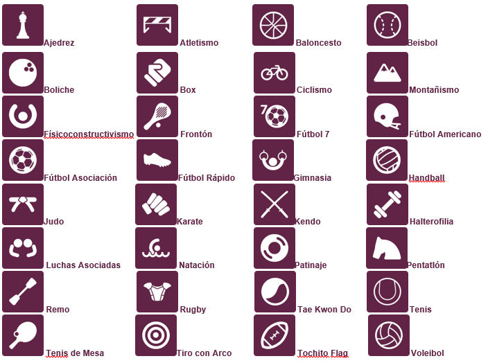 IPN Diversidad y Excelencia: DEPORTES EN EL INSTITUTO POLITÉCNICO NACIONAL