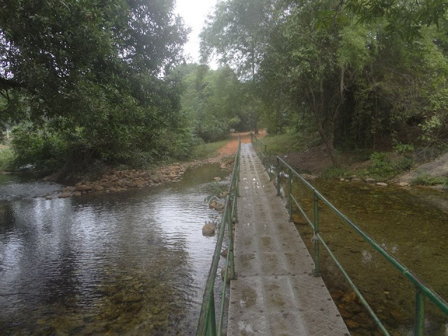 Tamilnadu Tourism: Ubbalamadugu Falls (Tada Falls)