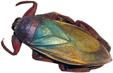 Conexiunile Spiritului: Colorantul minune al lui Danone