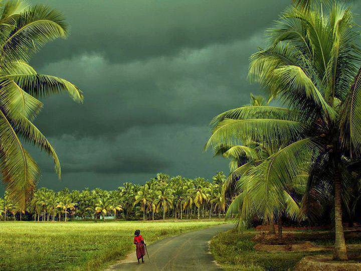 Kerala Tourism: Monsoon Sky in Kerala a Dramatic View