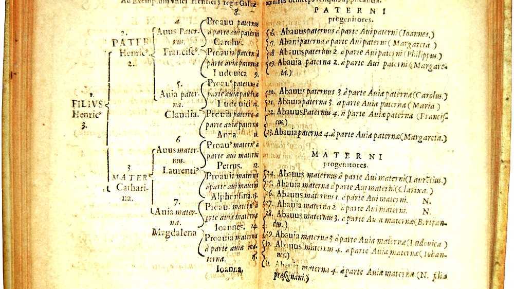 Genealogical numbering systems