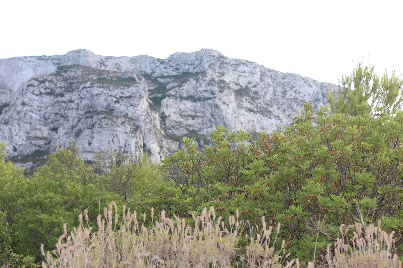 Historia y Genealogía: Parque Natural del Mongó. Denia, Alicante