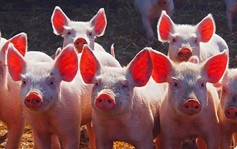 Coloring Without Borders: October 2014