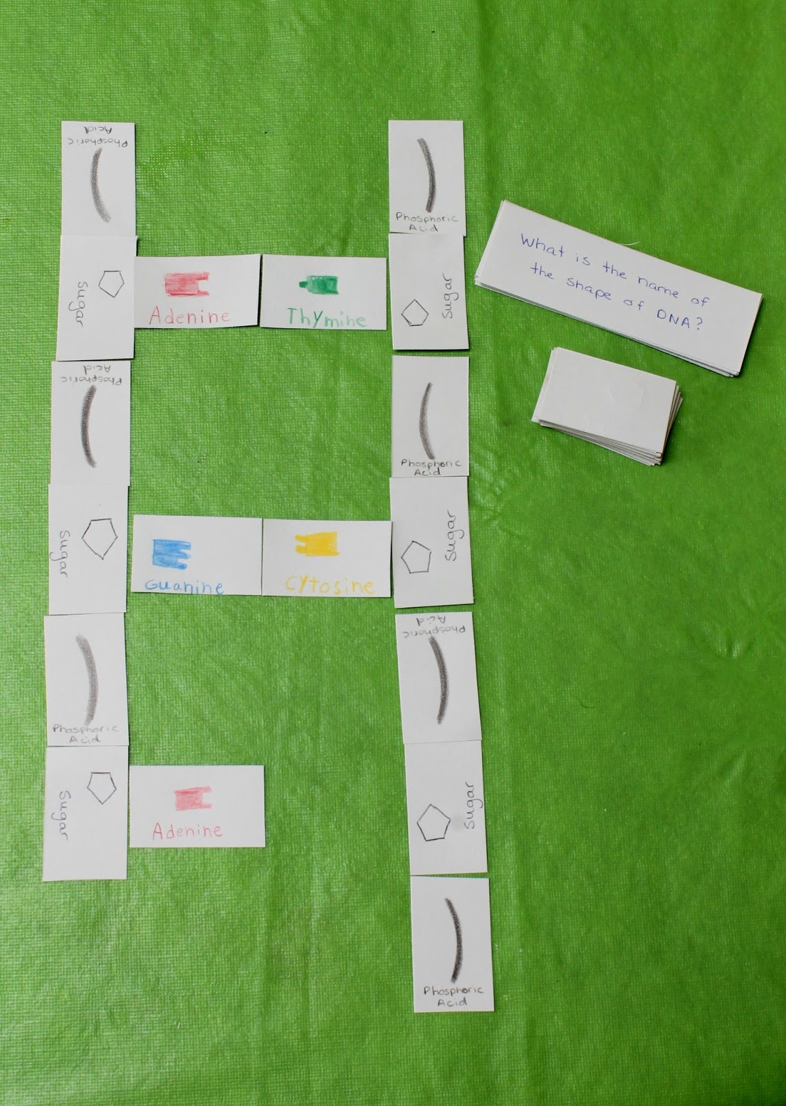 You want to learn about What??: The DNA Game