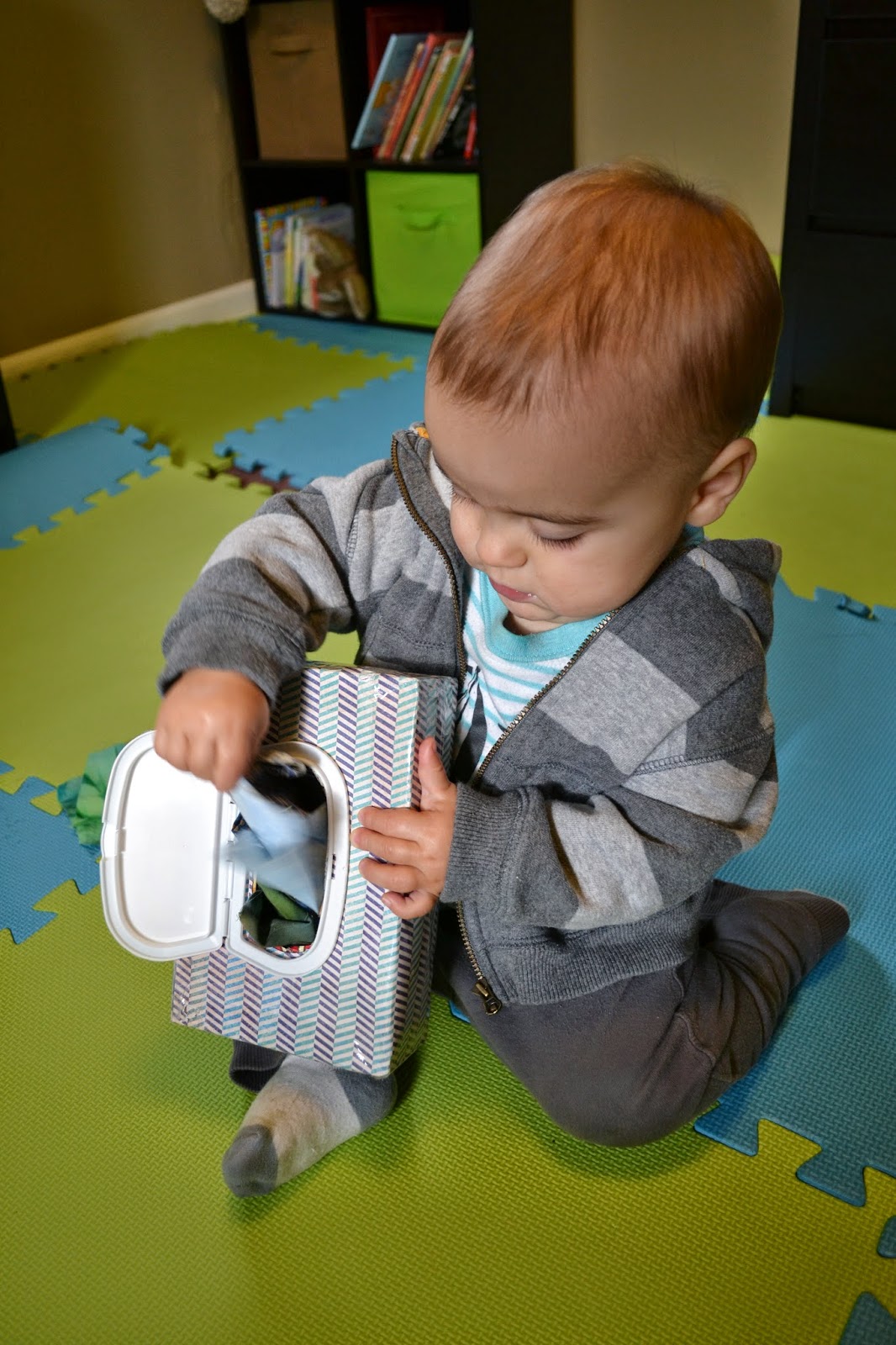 Fawn in BC: Homemade Discovery Box