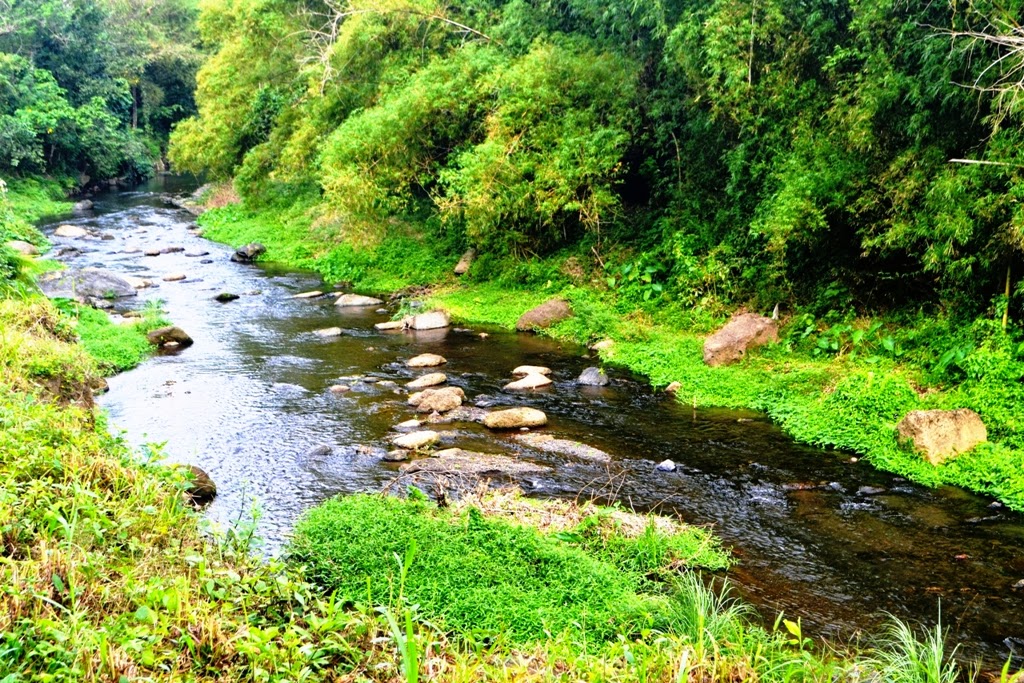 The Dr. & Mrs. Fun & anything under the Sun: AMBON-AMBON & MALAGASLAS ...