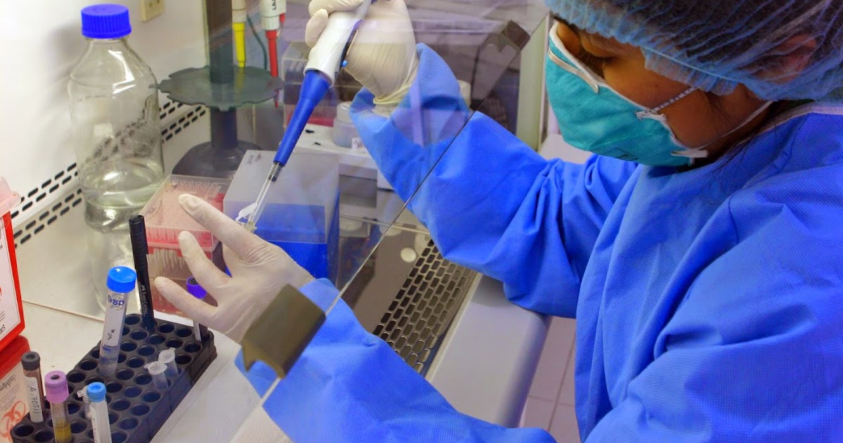 Manipulación genética : ¿Qué es la manipulación genética?