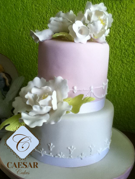 Caesar Cakes: Introducción Al Maravilloso Mundo De La Pastelería