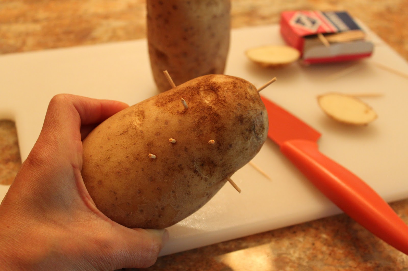 Green Owl Art: The Real Mr. Potato Head