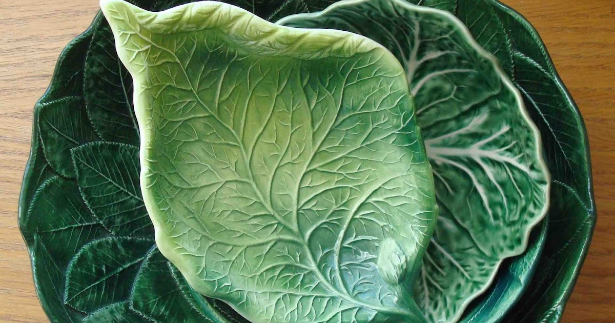 SpringLeaf Studios: SpringLeaf; the meaning of a name