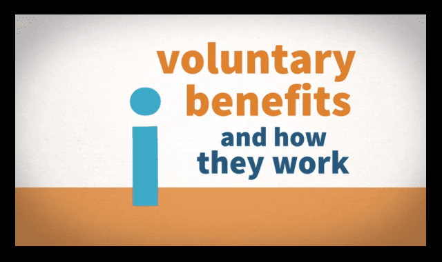 A Simple Guide to Voluntary Benefits #Video - Visualistan