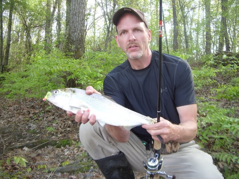 North Carolina River Fishing and Canoeing with Mack: American Shad and ...