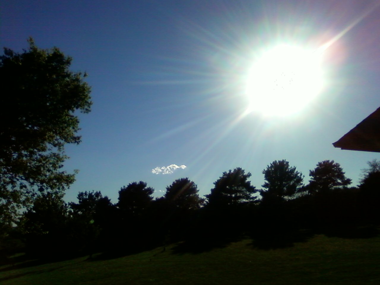 Beam The Light Be The Change: A Healing Journey Part Four: Pictorial