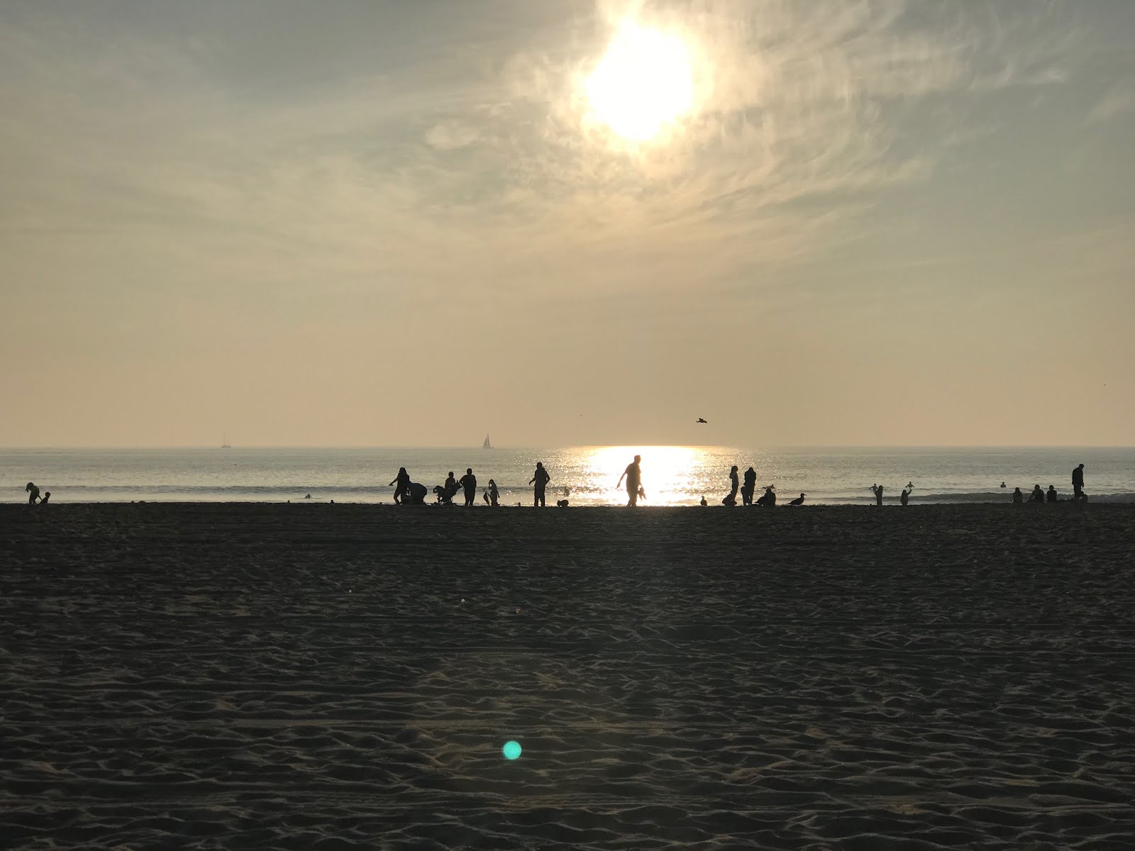 Annual Grunion Party / Ana Lydia Monaco