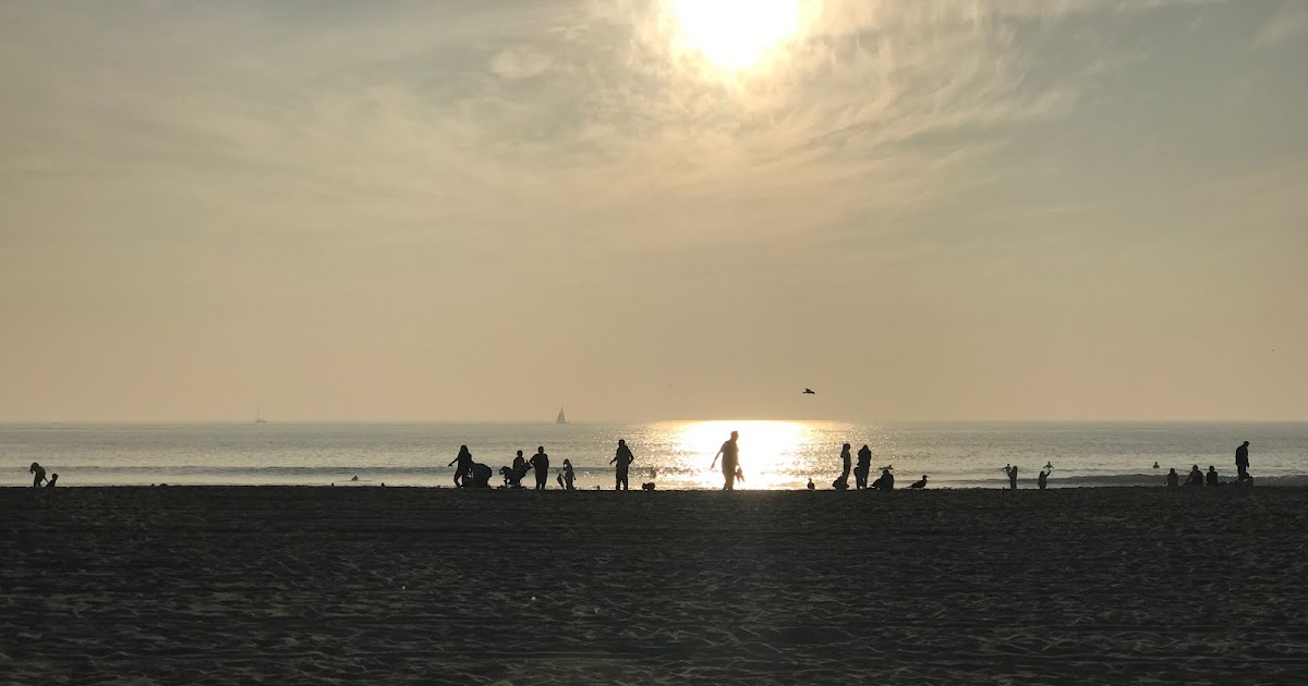 Annual Grunion Party / Ana Lydia Monaco