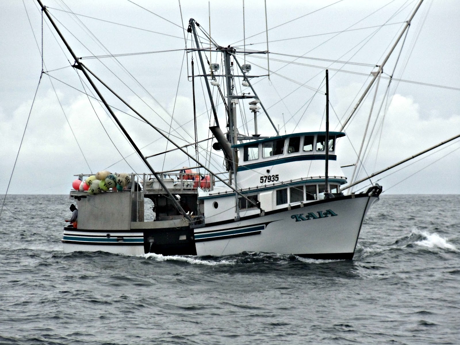 Sandra's Alaska Photography: Early July 2012: Southeast Alaska In All ...