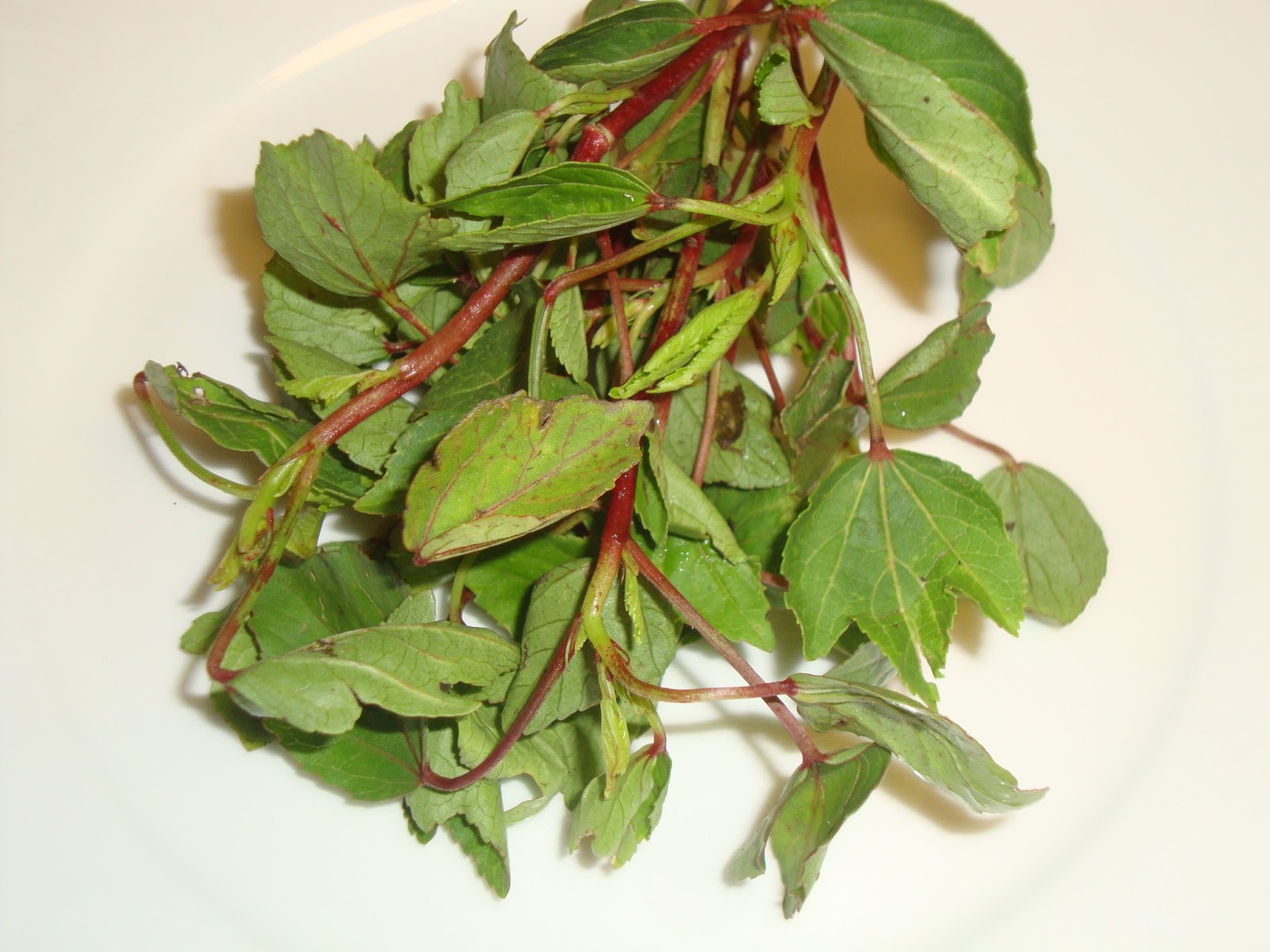 Poornima's Cook Book: Gongura Mutton / Chicken With Red Sorrel Leaves