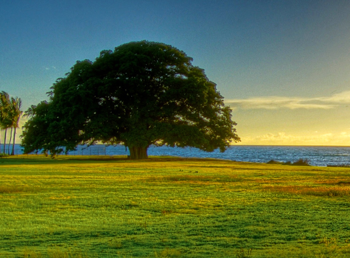 fotografia: Paisagem Natural