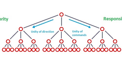 Next-Push: Henri Fayol Theory