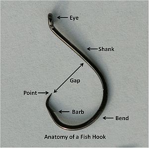 Today's Random Wikipedia Entry: Fish Hook