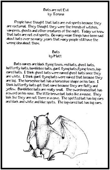 It's About Time, Teachers!: Search results for stellaluna