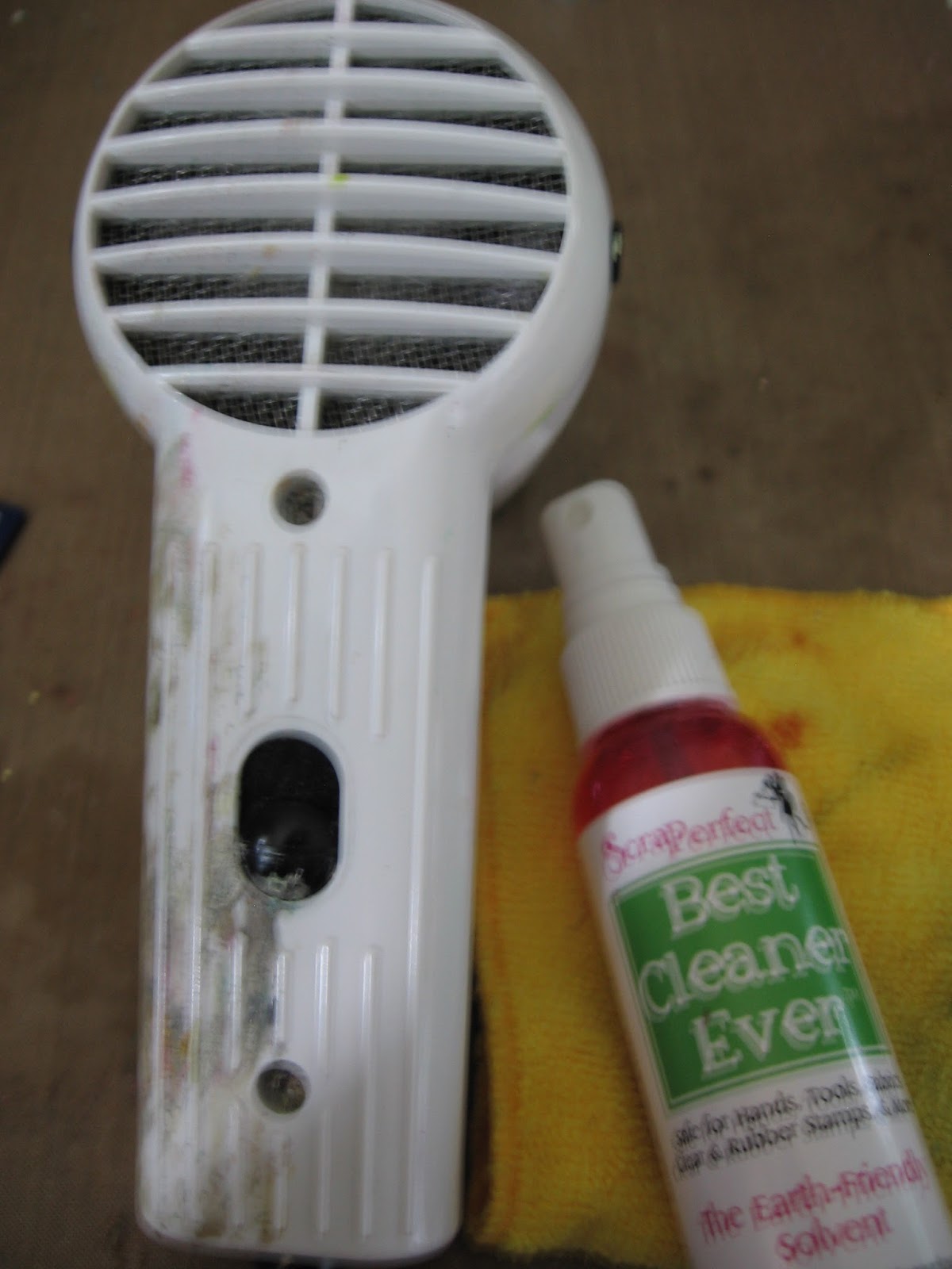 The Dynamic Duo of The Best Cleaner Ever, and The Perfect Cleaning ...