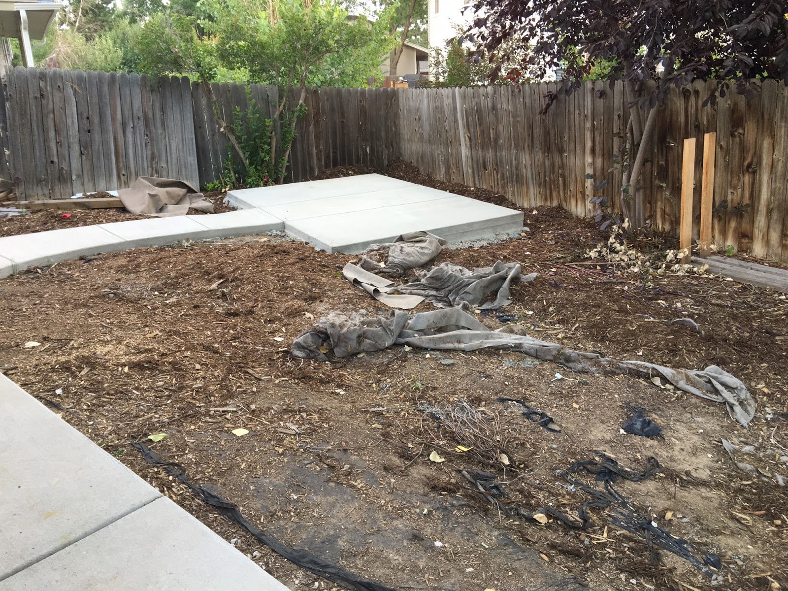 Don't just sit! Knit!!: Week 20: Messy Backyard