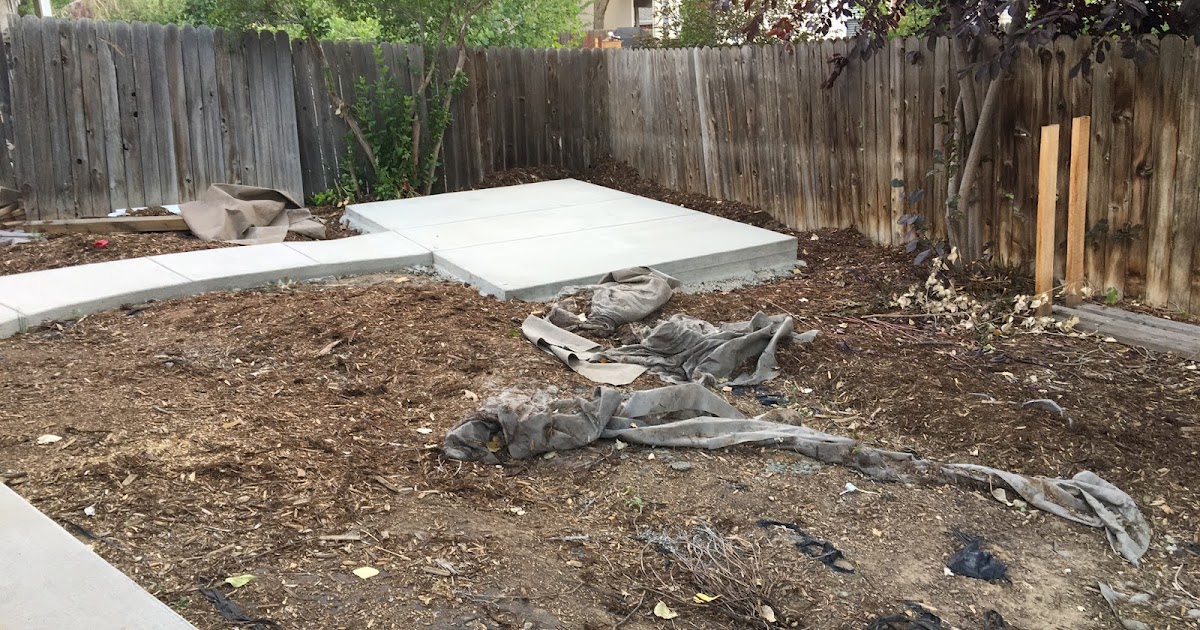 Don't just sit! Knit!!: Week 20: Messy Backyard