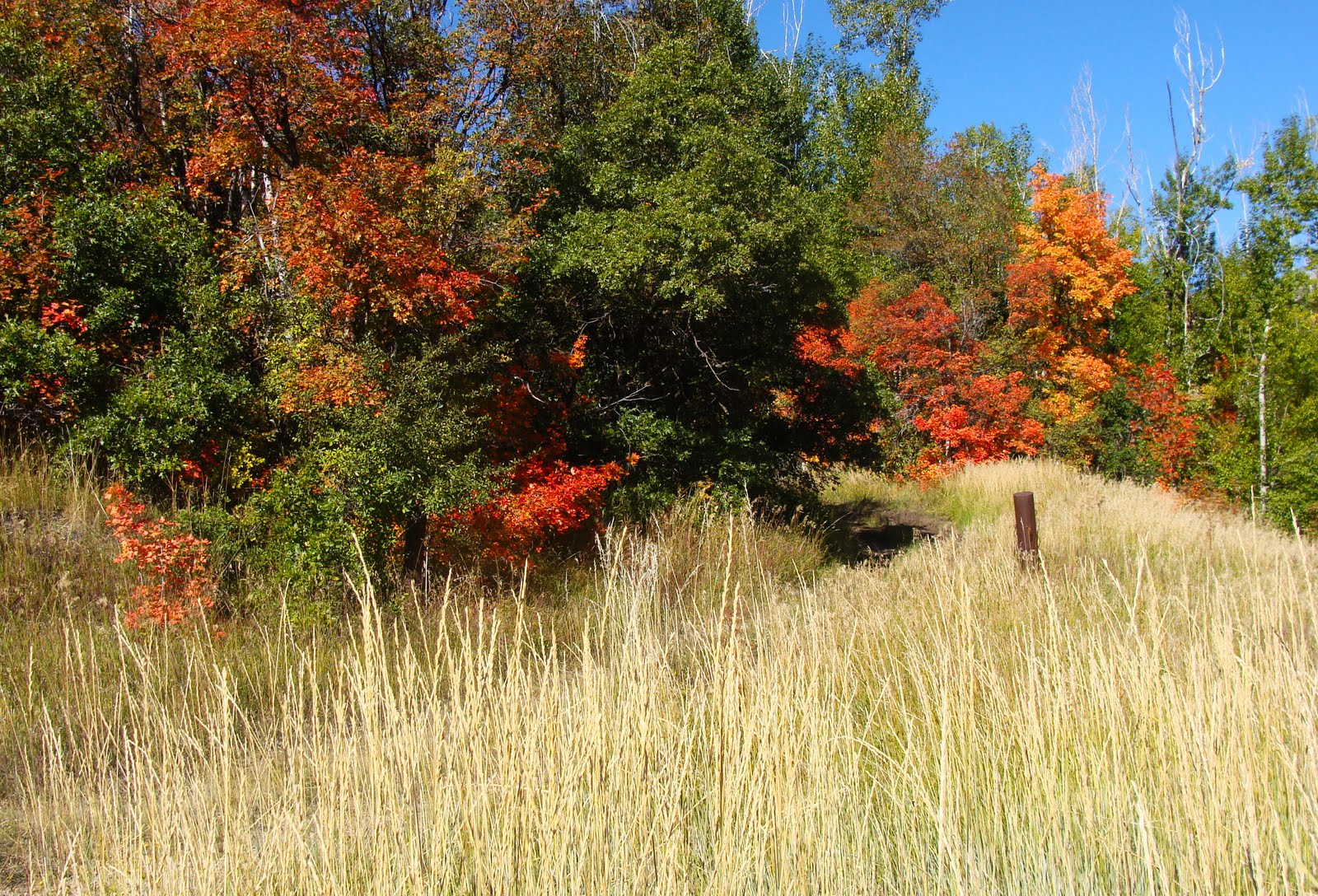 Urth Picture Post: Wasatch Mountains, Utah - Fall 2011