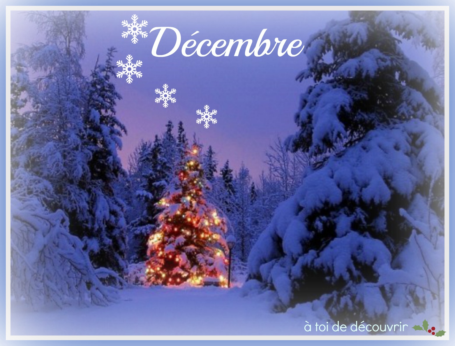 À toi de découvrir !: Décembre, dernier mois de l'année