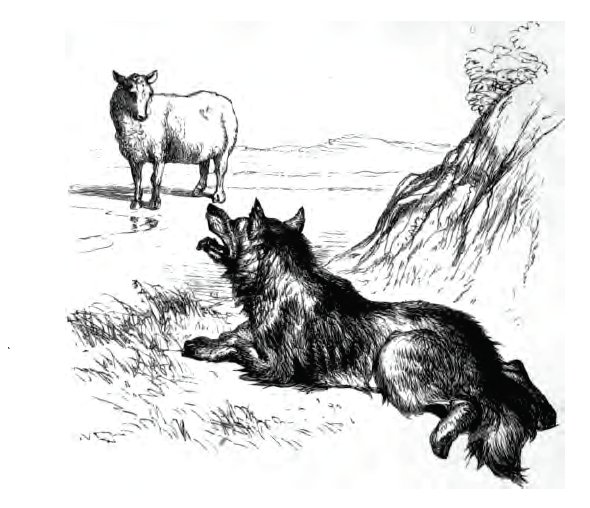 Dóér in die bosveld - fabels vir Afrika: Die Wolf en die Skaap