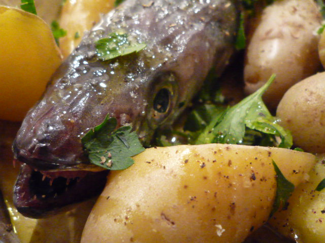 Bolli's Kitchen: Merluchon aux rattes - Kleiner Seehecht mit Rattes ...