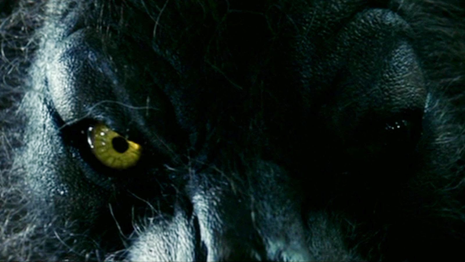 El Luison de Tacuaral...