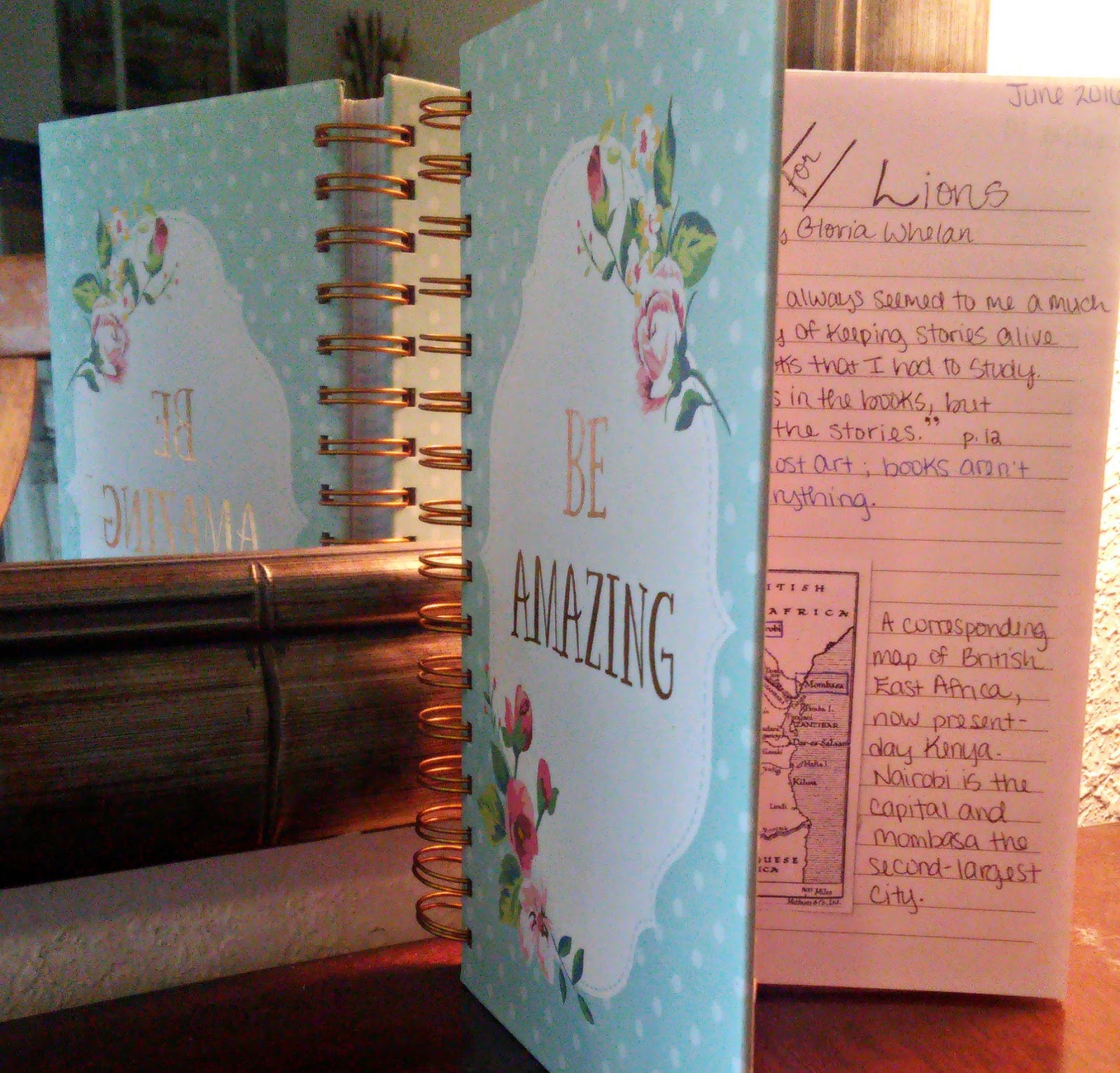 The Left-Handed Typist: The Art of Book Journaling