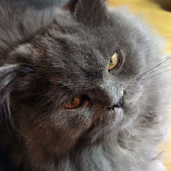 Moonraker Lampwerks: FA LA LA LAaaaAAaaaa!