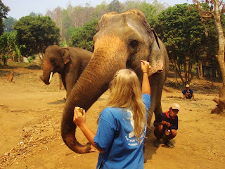 Wander: Bungee Jumping and a day with the Elephants!