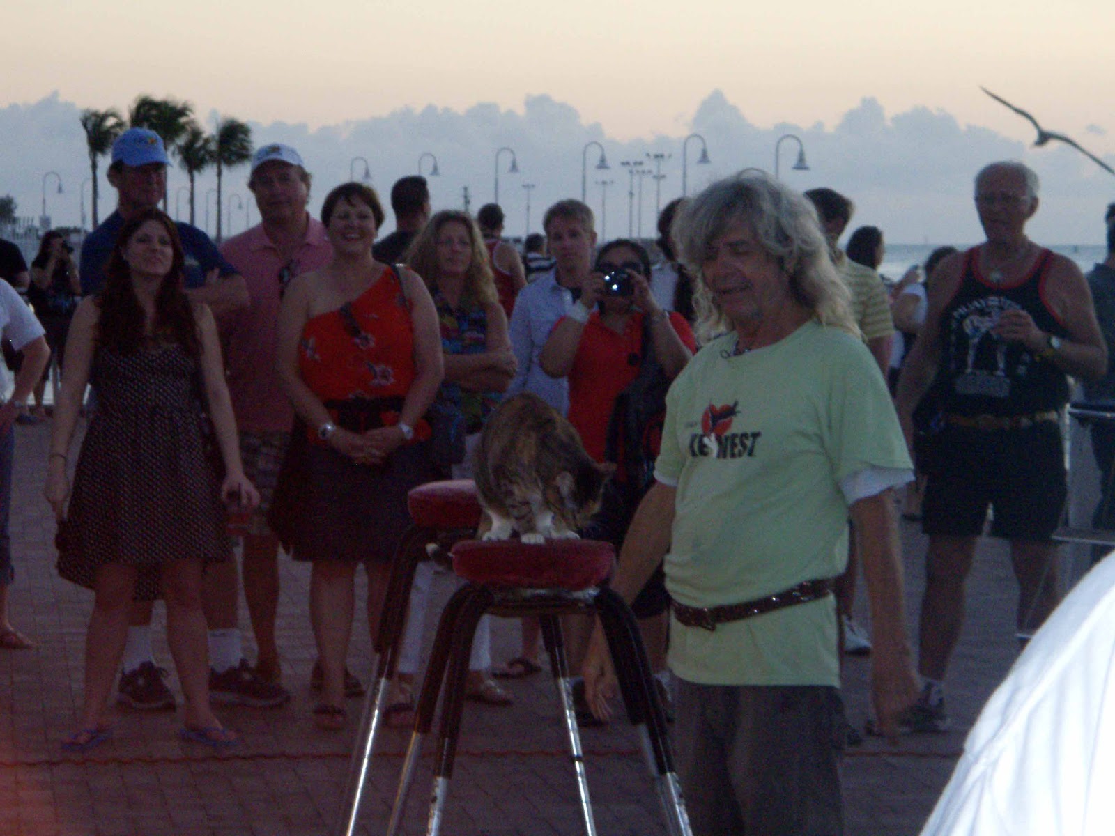 Exuberant Sailing: The Nostalgia Tour