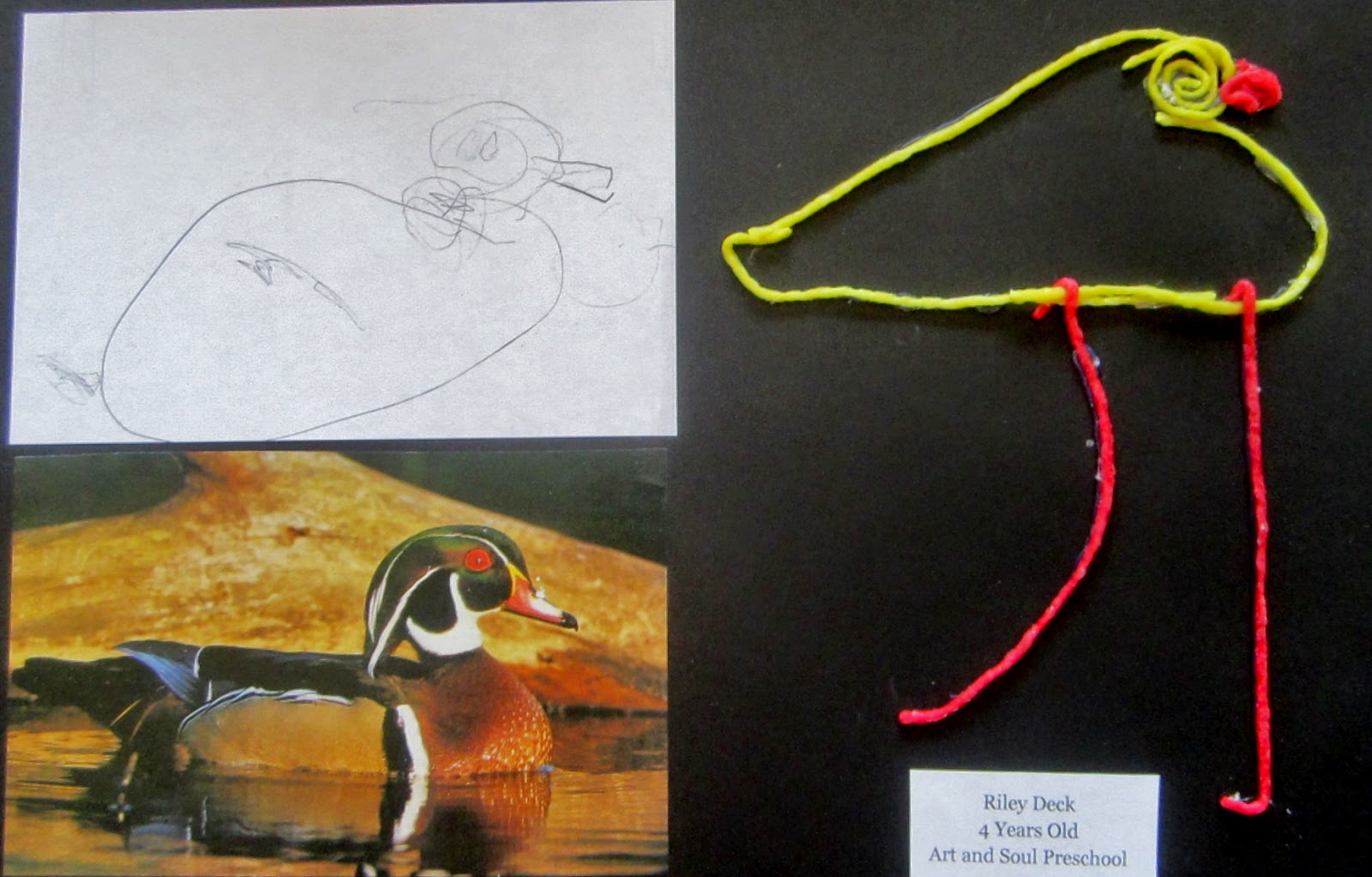 art and soul preschool: Birds of a Feather