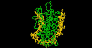 The Boundless Thicket: The Beauty of Poison