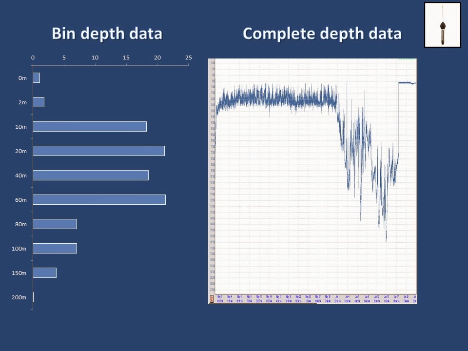 OceansIQ: Tracking marine animals with satellites - A guide to tagging ...