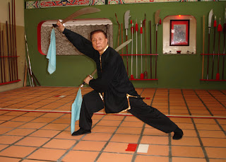 Kung Fu Shaolin do Sul | Estilo Fei Hok Phai