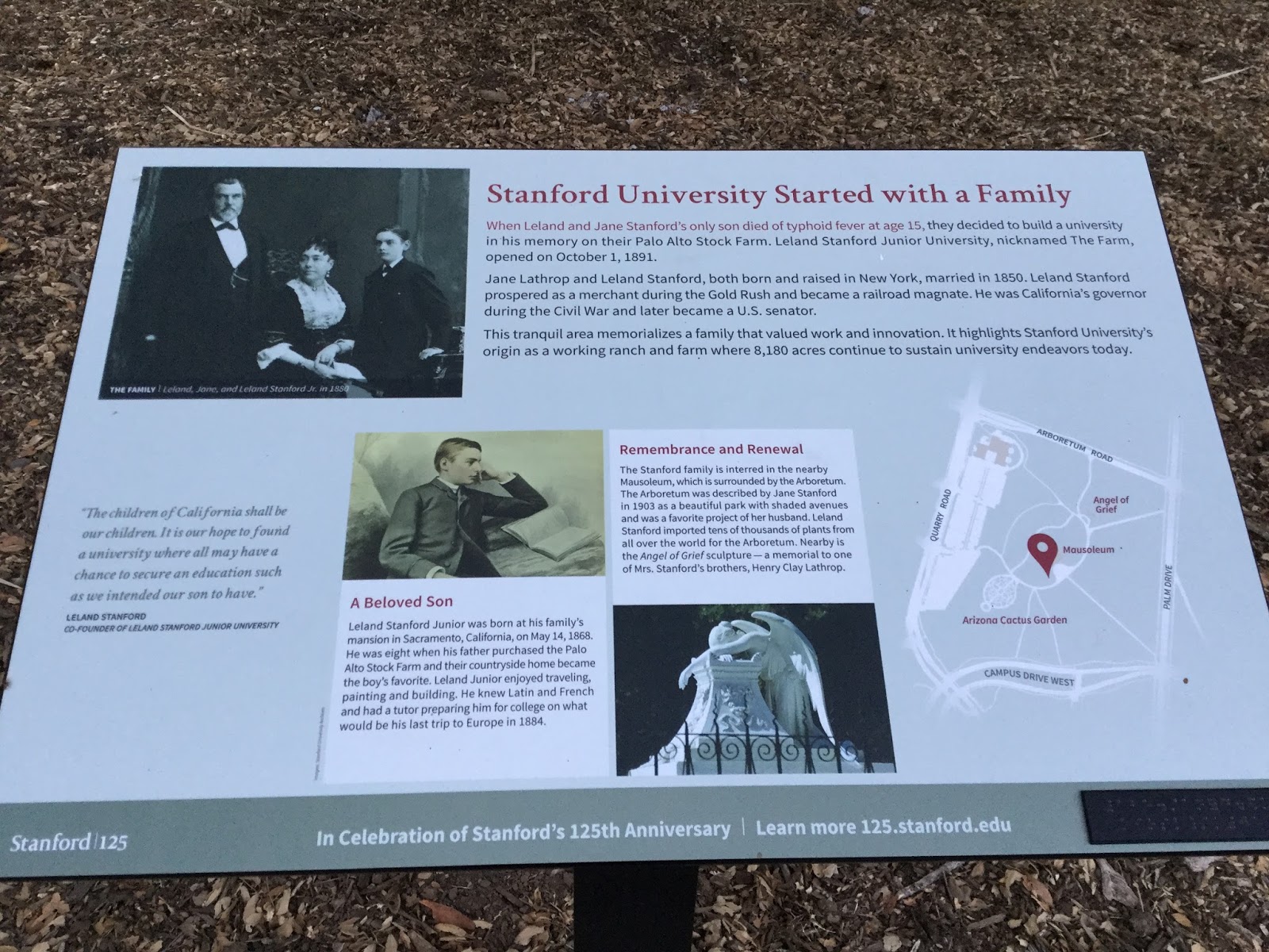 The Greatness of Stanfords