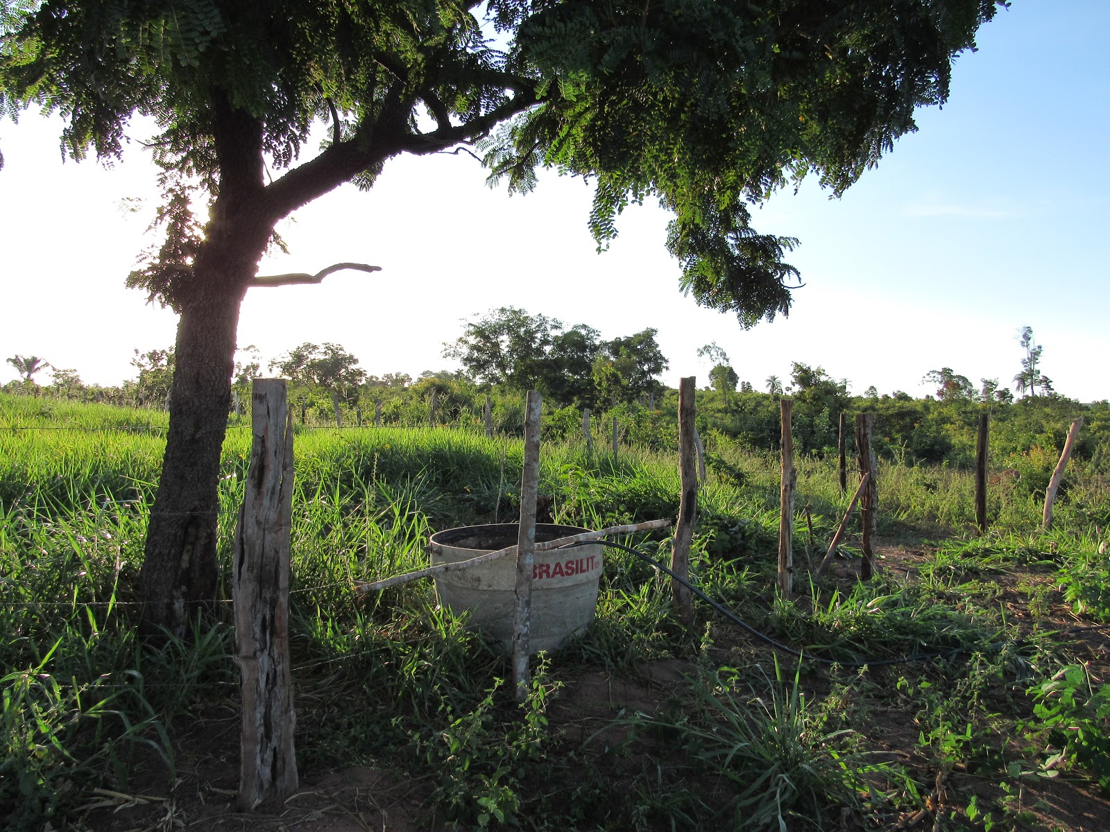 Poemas e frases: Fotos de paisagens da natureza na roça
