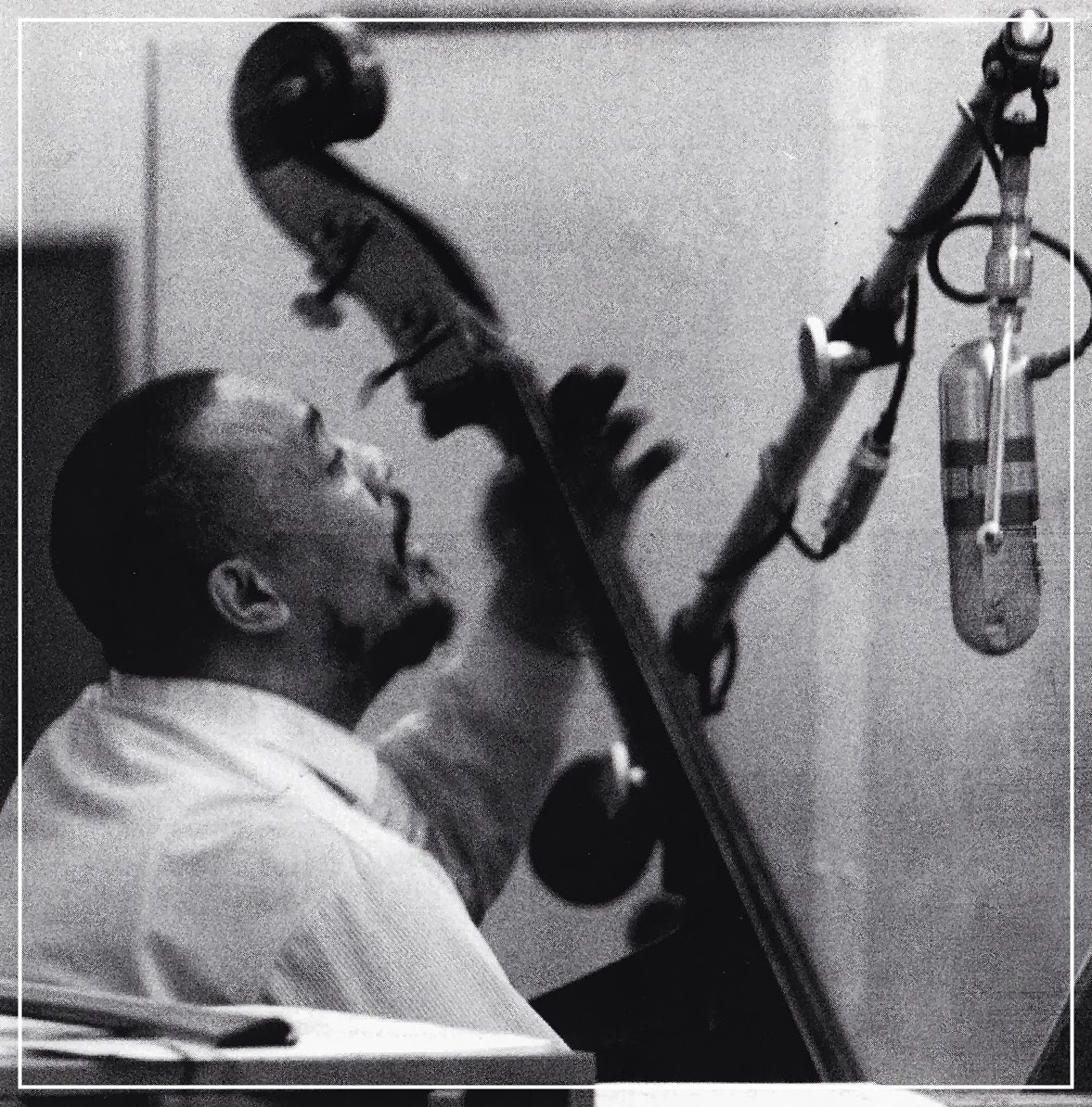 BORBOLETAS DE JADE: Novembro 2013